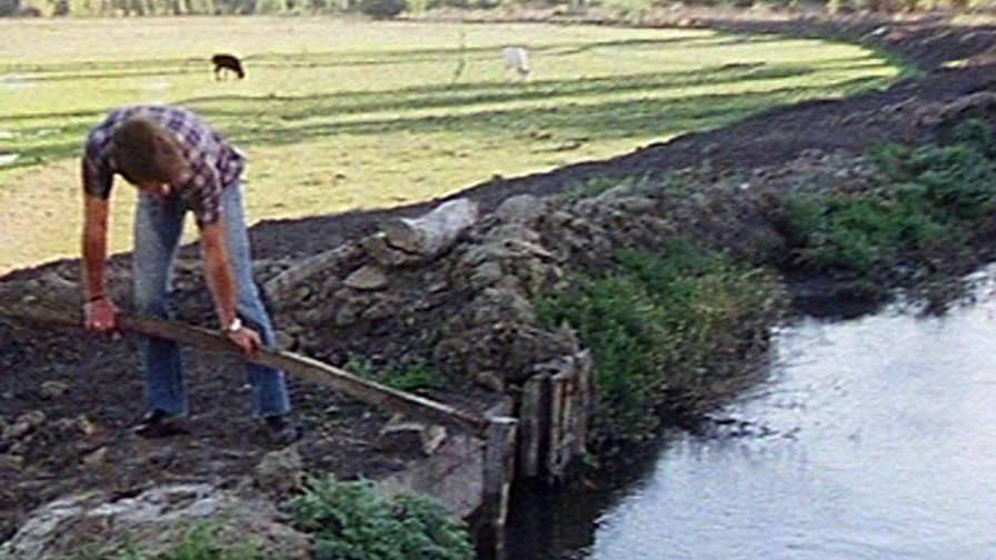 BBC One - Plant y Paith