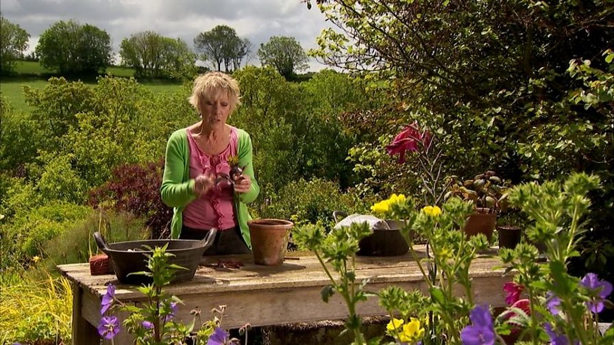 BBC Two - Gardeners' World, 2011, Episode 12, Herbs in a container