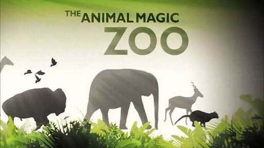 BBC One - The Animal Magic Zoo
