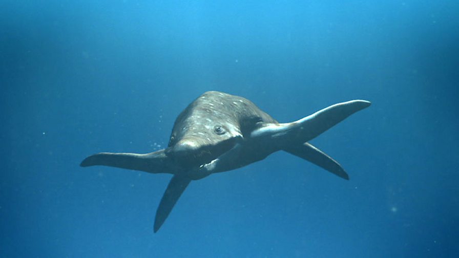 BBC One - Planet Dinosaur, Original Series, Fight for Life, Predator X