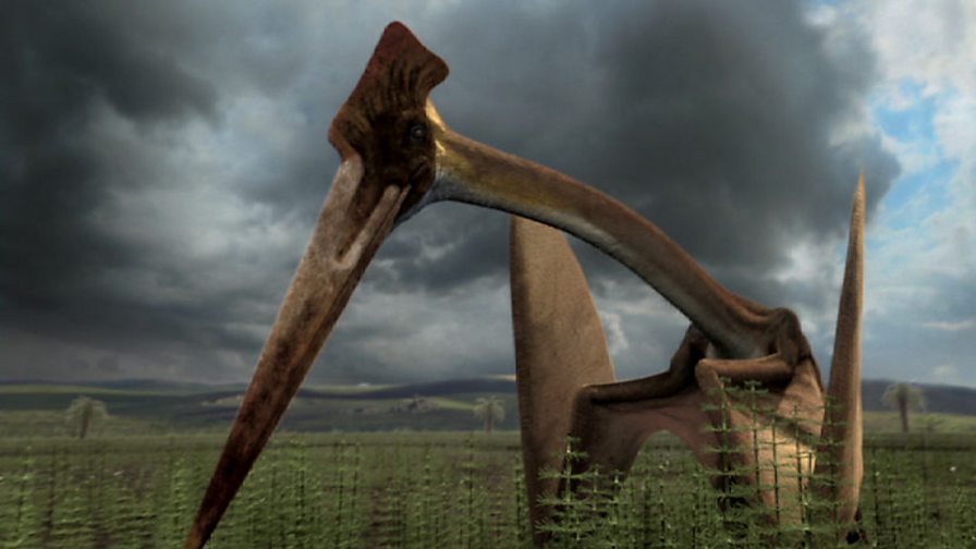 BBC One - Planet Dinosaur, Original Series, The Great Survivors ...