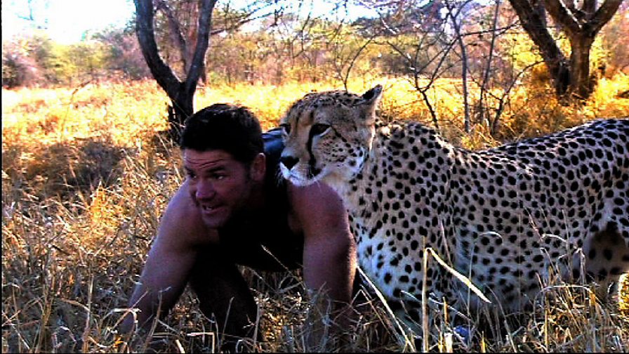 BBC One - The Really Wild Show