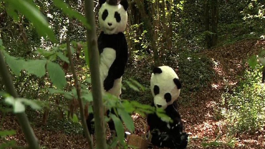 BBC - Film Network, Drama, Butterface