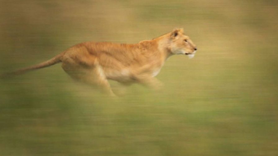 BBC One - Planet Earth Live, Series 1