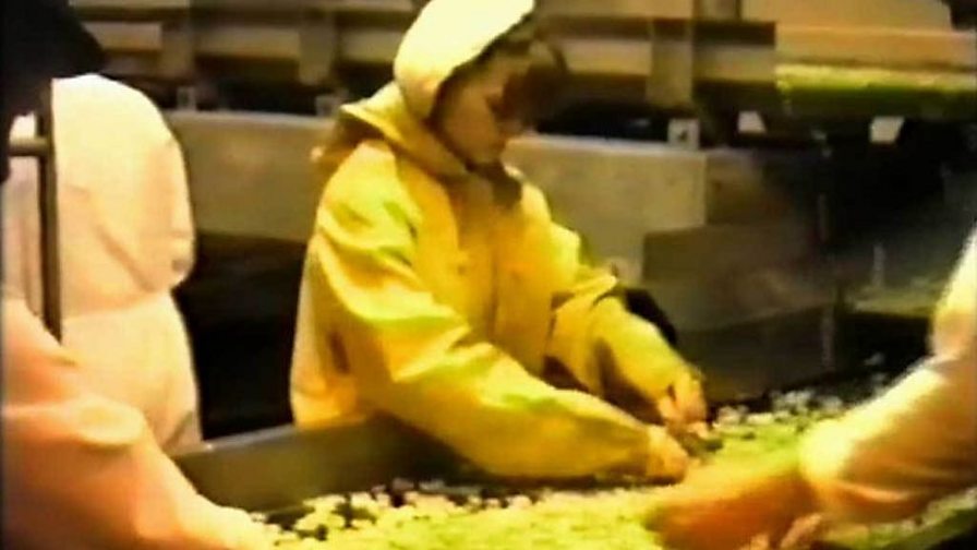 BBC One - Living with Poverty