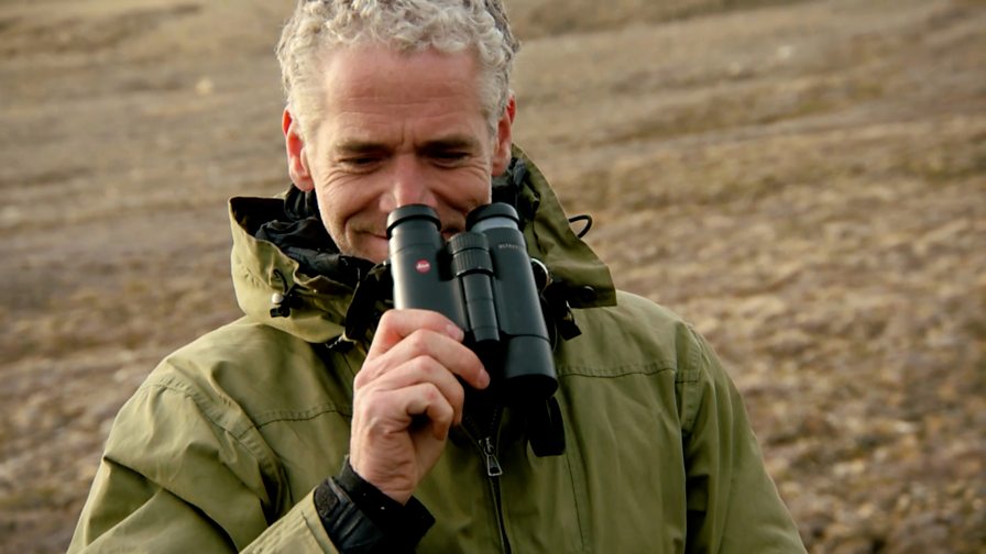 BBC Two - Snow Wolf Family and Me, Episode 2, Gordon Buchanan plays ...