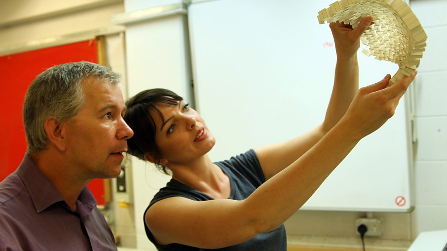 BBC Two - Biomimetics - Designed by Nature, An Introduction into ...