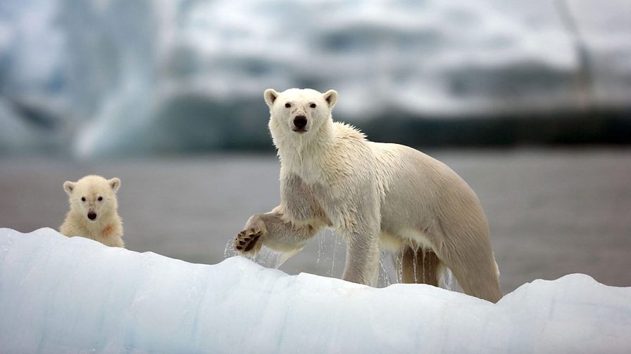 BBC One - Nature's Great Events - Episode guide