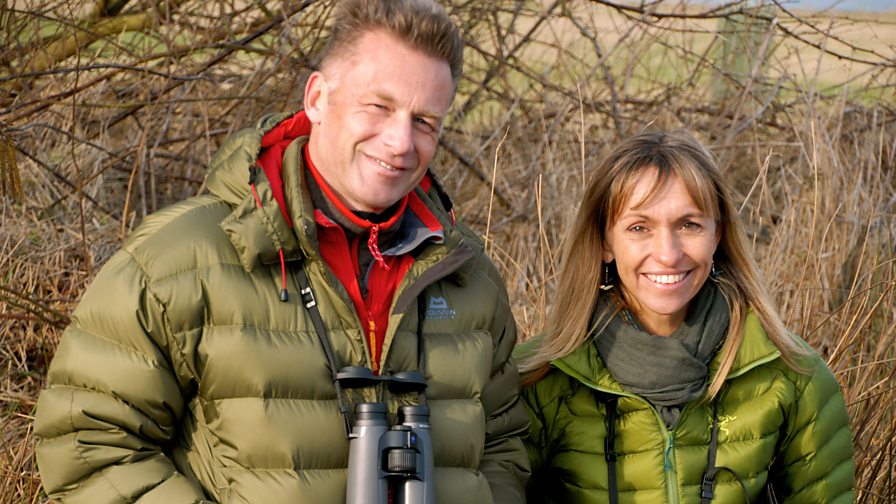 BBC Two - Springwatch - Episode guide