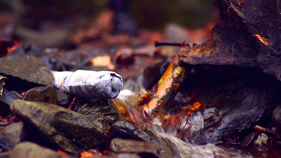 BBC Four - Catching History's Criminals: The Forensics Story, A ...