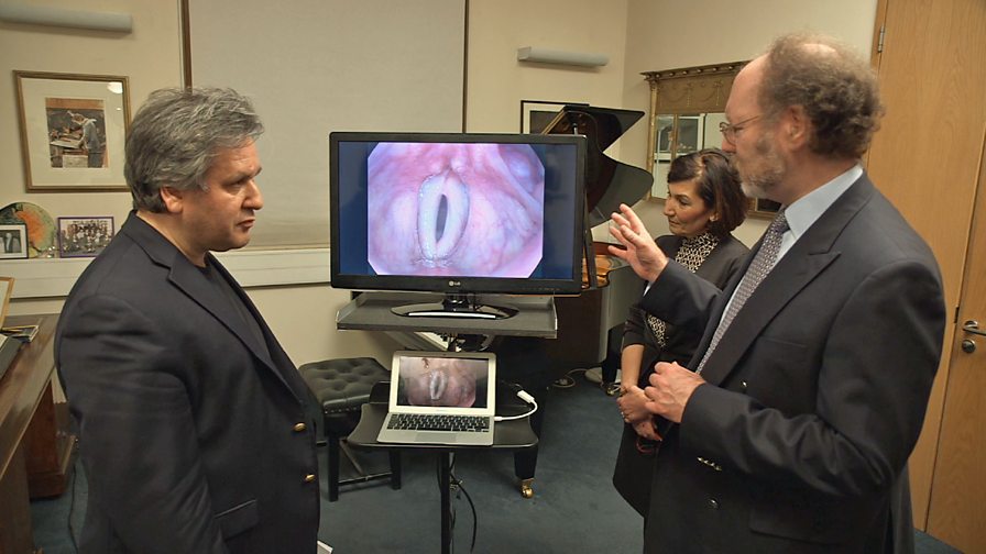 BBC Arts - BBC Arts - Why opera singers are the elite athletes of the ...