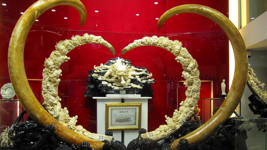 BBC Radio 4 - Natural Histories, Mammoths - 13 mammoth facts about mammoths