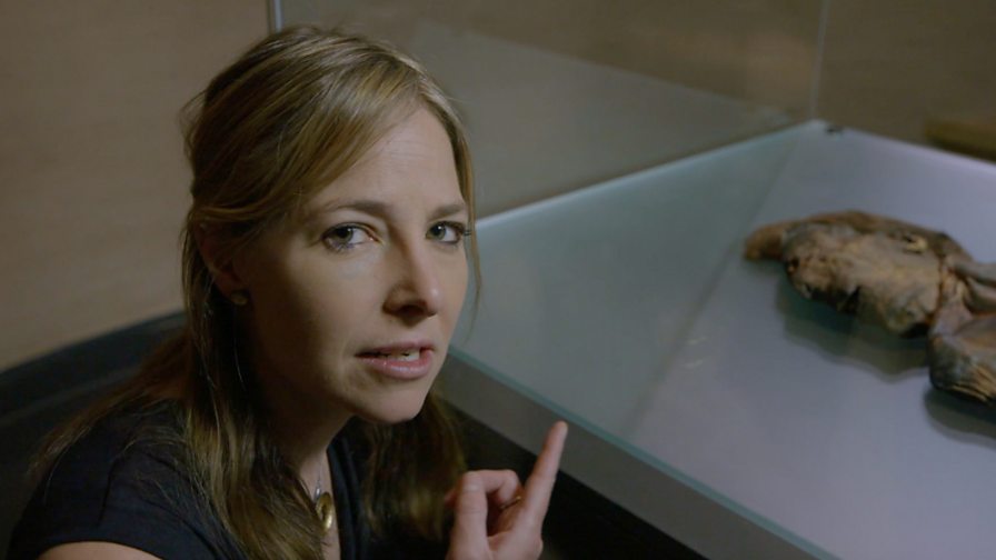 BBC Two - The Celts: Blood, Iron and Sacrifice with Alice Roberts and ...