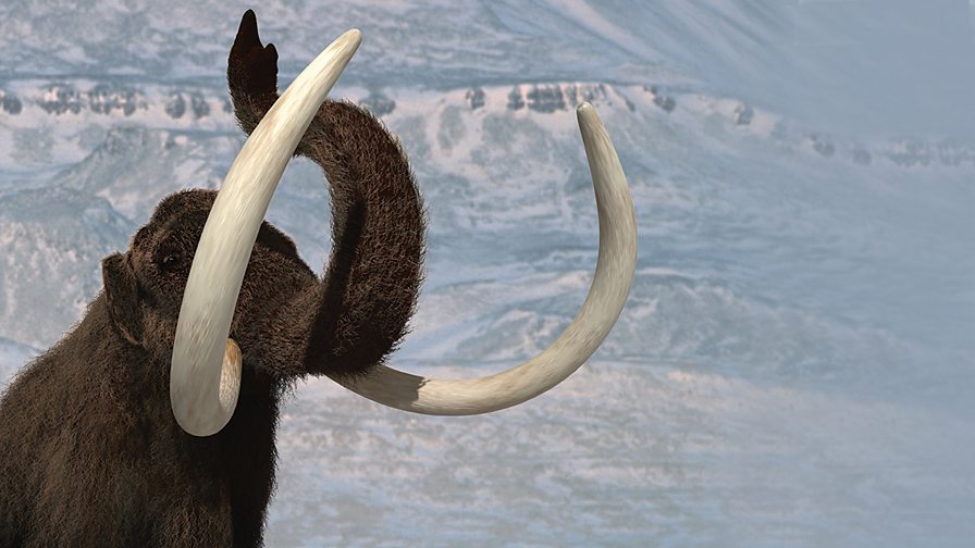 BBC Two - Wild New World, Land of the Mammoth, Blue Babe