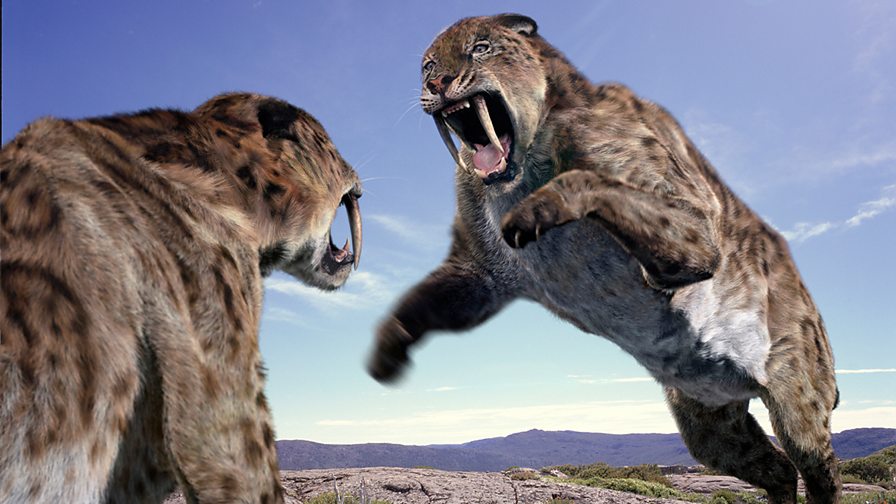 BBC Three - Walking with Beasts