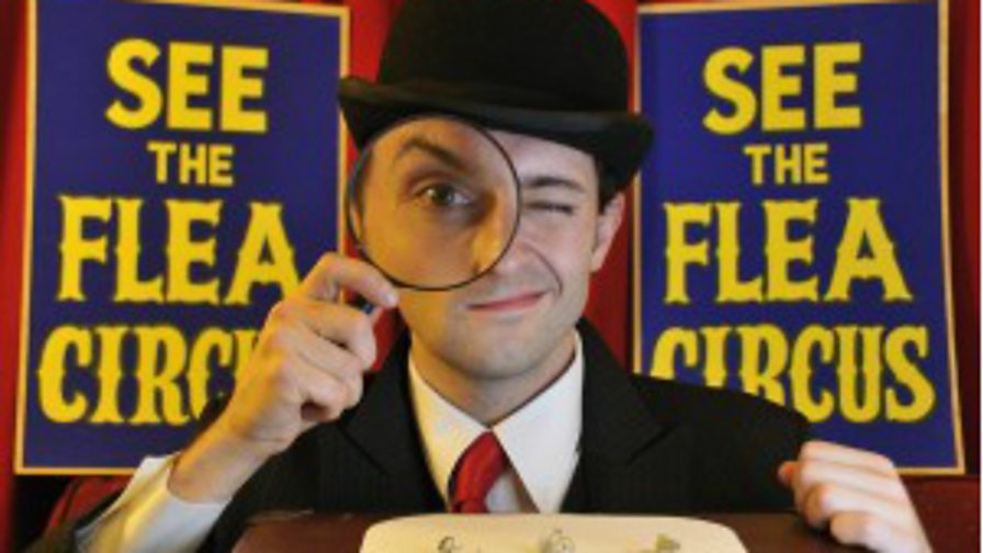 BBC Radio 4 - Natural Histories, Fleas