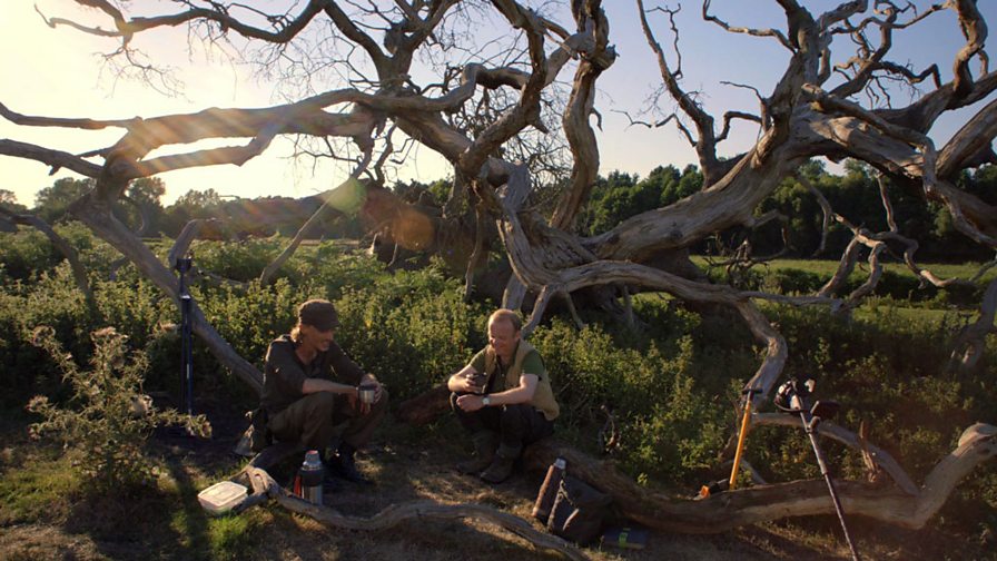 BBC Four - Detectorists, Series 2