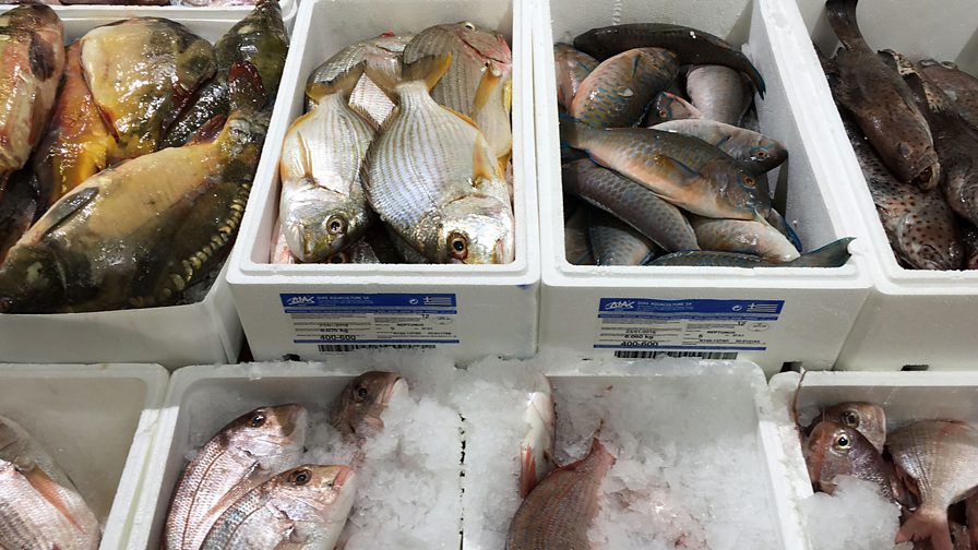 BBC Radio 4 - Unnatural Selection