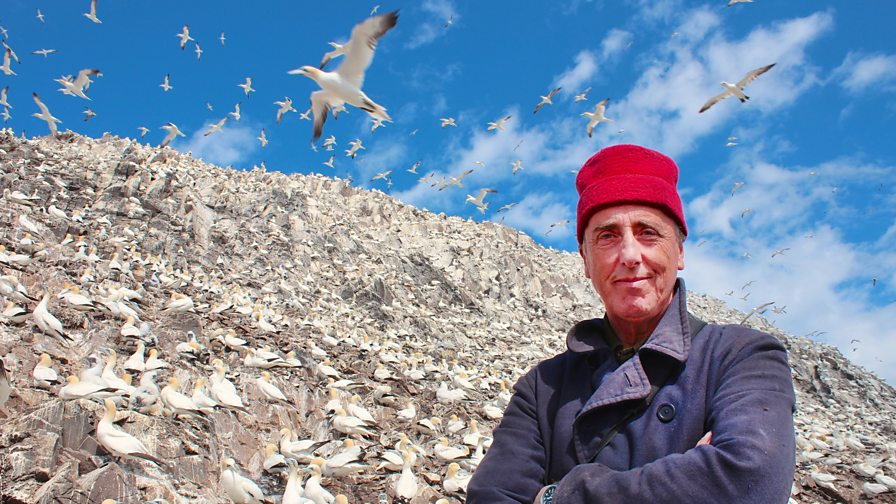 BBC Radio 4 - Dawn Chorus