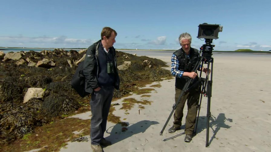 BBC Two - Into the Wild with Gordon Buchanan