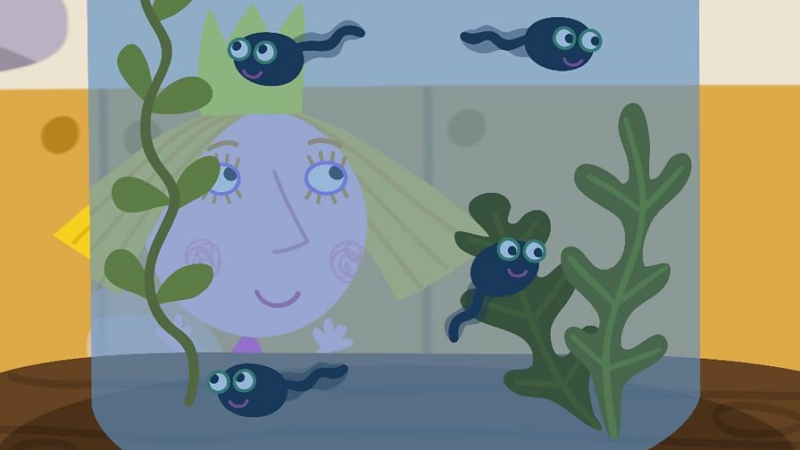 S4C - Ben a Mali a'u byd bach o hud - Nesaf