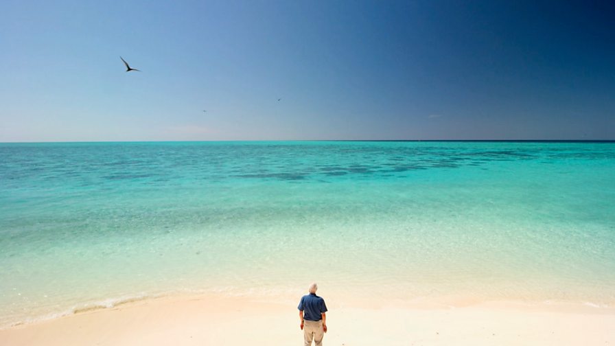 BBC One - The Blue Planet