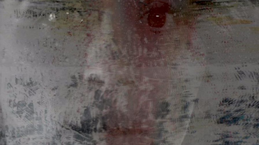 BBC Arts - BBC Arts - The Danger Tree: Interactive art to mark Somme ...