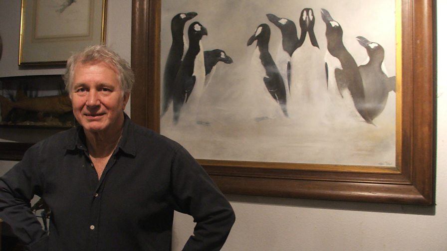 BBC Radio 4 - Natural Histories, Great Auk