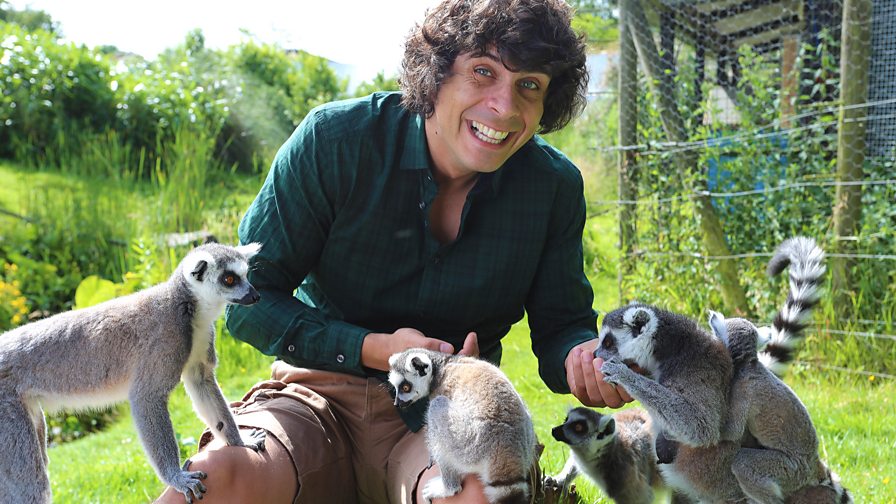 CBeebies - Andy's Baby Animals - Episode guide