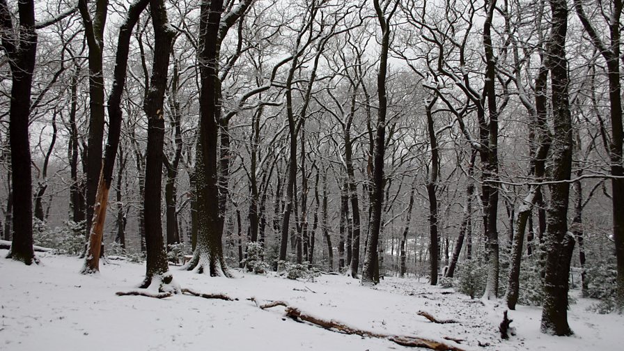 BBC Radio 4 - Radio 4 in Four - 10 ways to warm up on a cold day