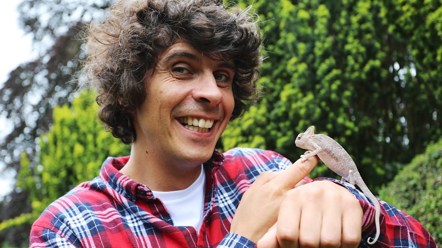 CBeebies - Andy's Baby Animals