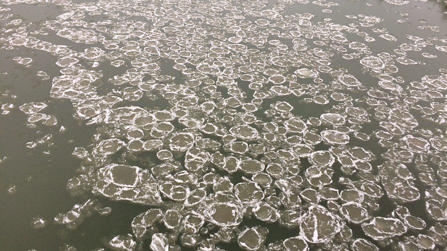 BBC Radio 4 - Costing the Earth, Fighting Fire