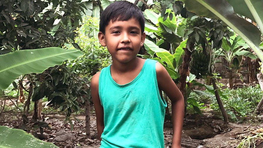 CBeebies - Where in the World? - Episode guide