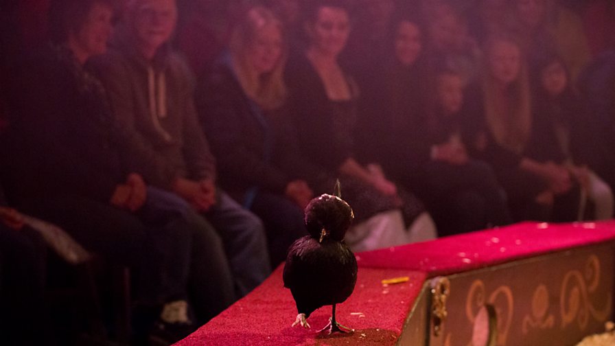 BBC World Service - In the Studio, How to create a circus production ...