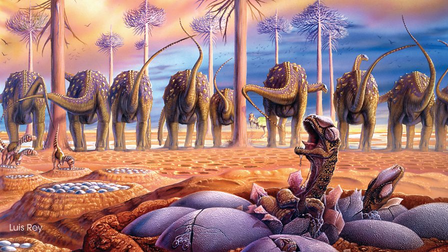 BBC Radio Wales - Science Cafe, Baby Dinosaurs, VIDEO: Baby Dinosaurs ...