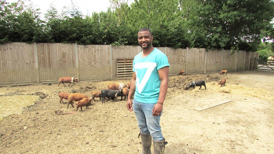 CBeebies Radio - Down On The Farm, Summer