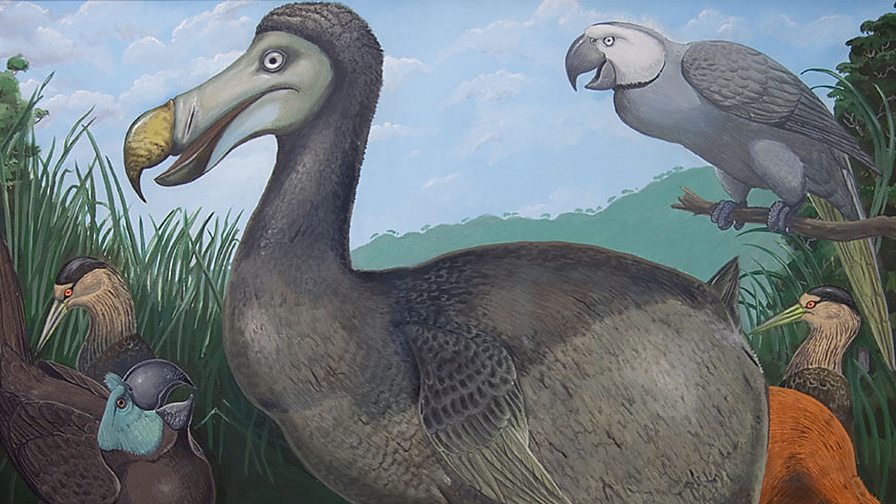 BBC World Service - CrowdScience, Can We Revive Extinct Species Like ...