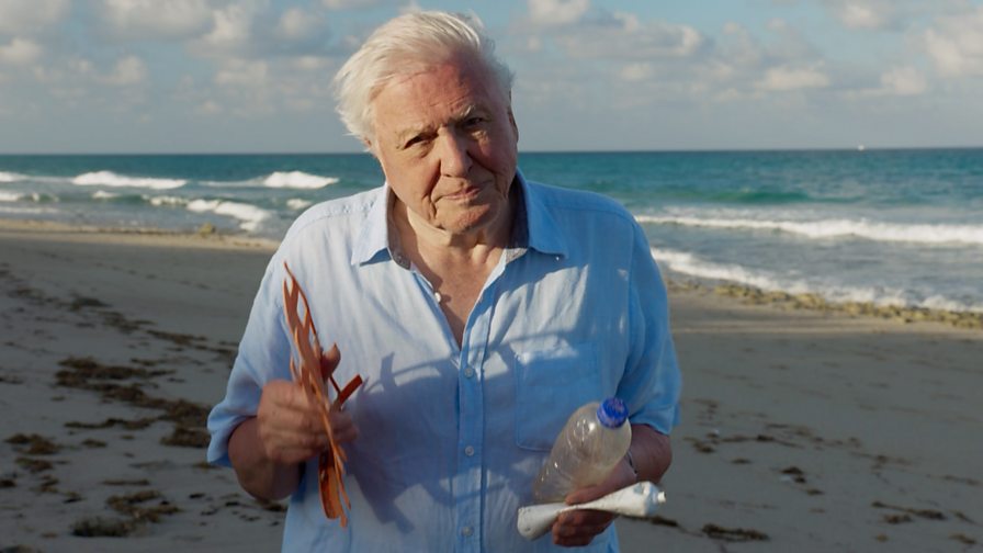BBC One - Blue Planet II, Series 1, Our Blue Planet, The dangers of plastic in our oceans