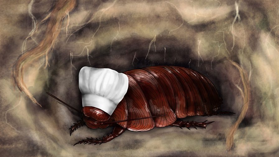 BBC Radio 4 - Natural Histories, Cockroach, The World According to ...