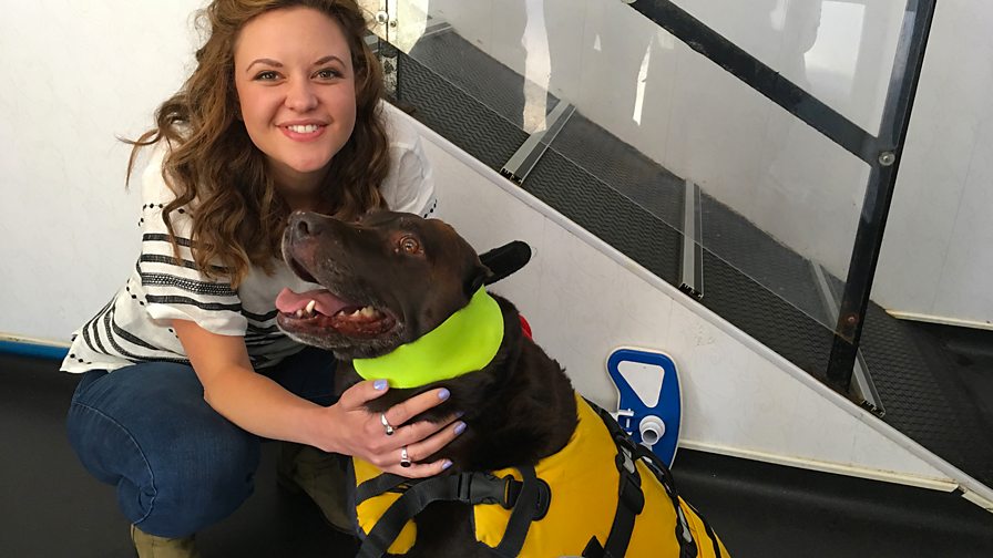 CBeebies - Ferne and Rory's Vet Tales, Series 1 - Episode guide