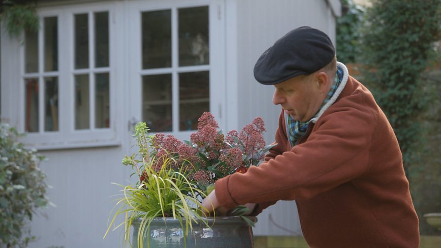 BBC Two - Gardeners' World, 2018, Episode 2, How to plant raspberries