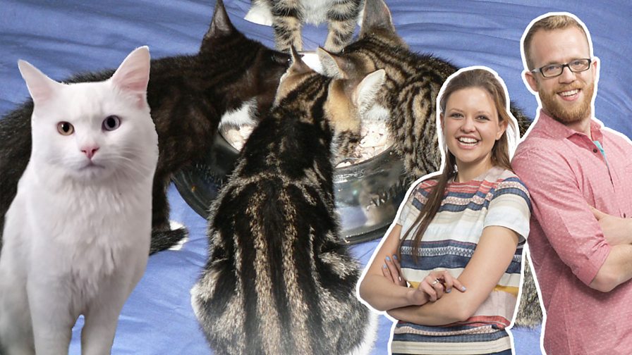 CBeebies Radio - My Pet And Me - Episode guide