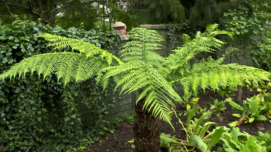 BBC Two - The Beechgrove Garden