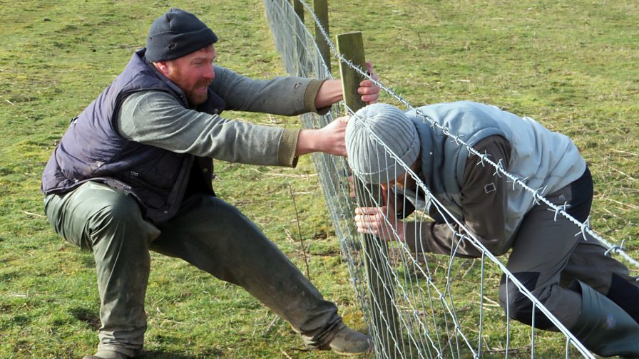 BBC Scotland - The Farm