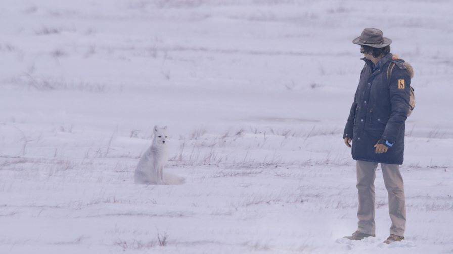 CBeebies Radio - Andy’s Sound Adventures, Arctic