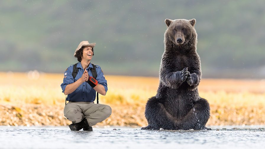 CBeebies Radio - Andy’s Sound Adventures, Vancouver Island
