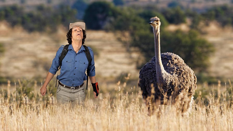 CBeebies - Numberjacks, The Puzzler Song