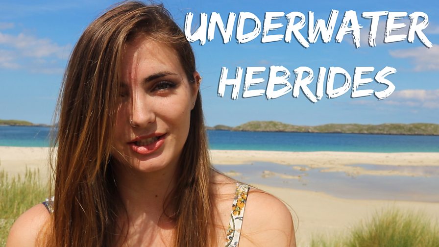 BBC Scotland - BBC Scotland - What lies beneath: a mermaid’s view of ...