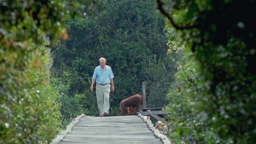 BBC One - Seven Worlds, One Planet, Series 1, Asia, Attenborough's ...