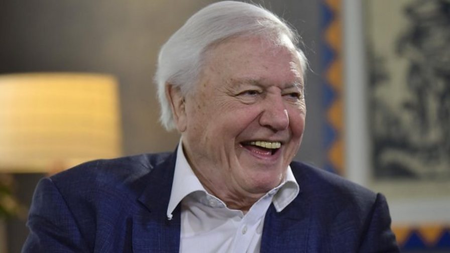 BBC One - The Andrew Marr Show